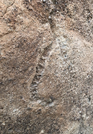 Red Rock | iMentor® weB-LOG